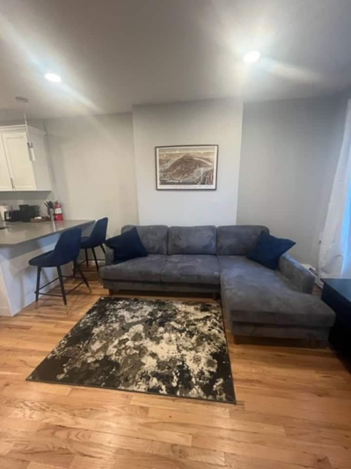 Shared Modern 2 Bedroom Brooklyn Apartment - Jackson Heights - Queens NY