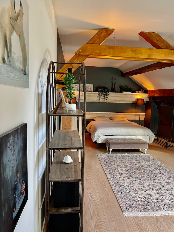 Chambre Privée Dans Un Hôtel Particulier Du Centre - Dijon