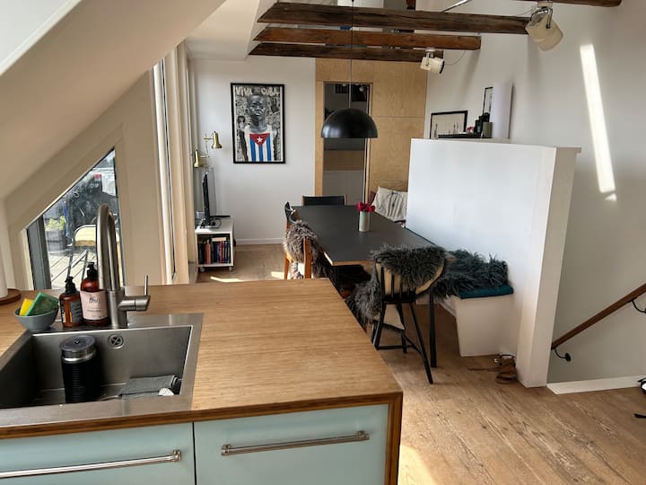Bylejlighed Med Tagterrasse - Kopenhagen