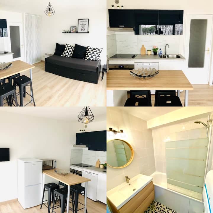 Studio 4 Pers 300 M Plage/piscine/parking/wifi - La Grande-Motte