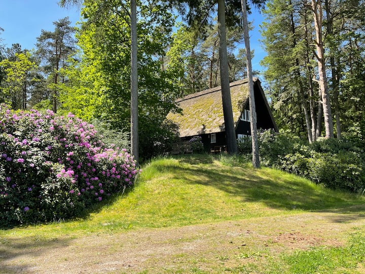 Vacation Home With Pond On 16.000m² In Nature - Bergen