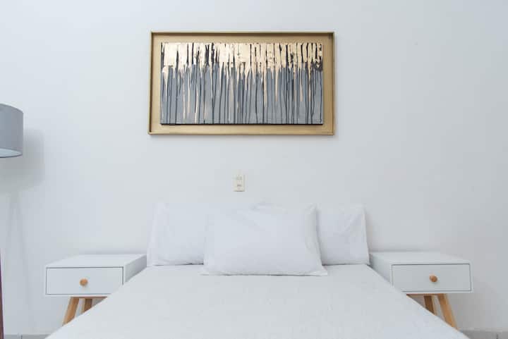 Comodidad En Sta. Tere, Centro Y Providencia. - Guadalajara