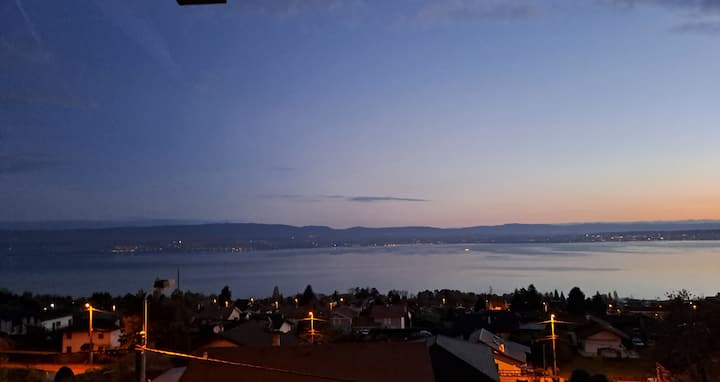 Appartement Meublé 38m2 Evian-les-bains - Évian-les-Bains