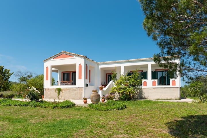 Pine Tree Family House - Kavos