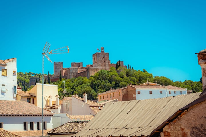 Qh Elvira_03 - Grenade