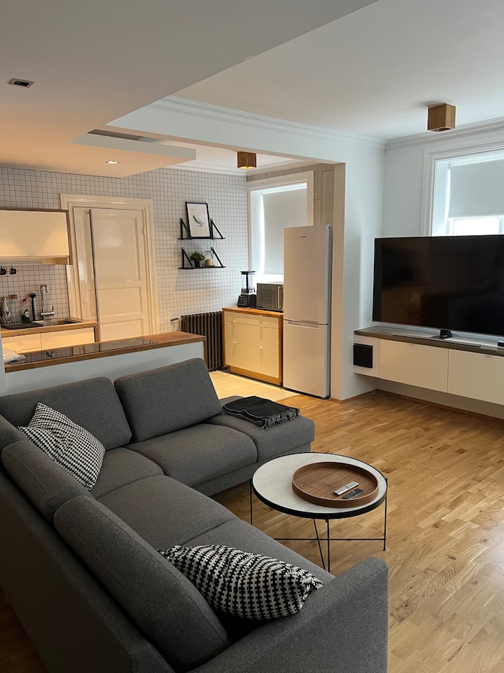 Cozy Flat In Central Reykjavík - Reikiavik