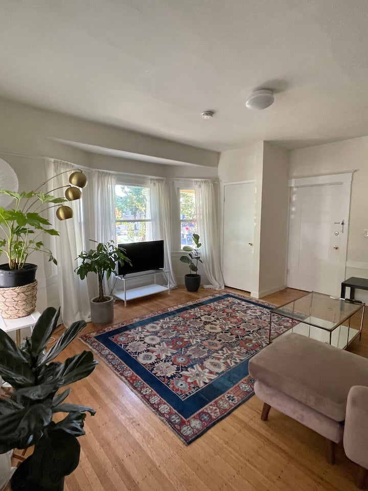 Beautiful Sunny Home In Elmwood/berkeley - Berkeley, CA
