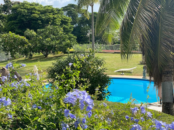 Vue Mer/piscine/ Forêt – Chambre Chic Non-fumeur - Polynésie française