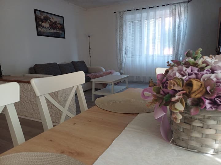 Apartmán Silvie - Tchéquia