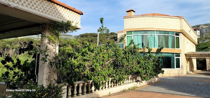 Mountain Villa-pool-bbq-garden - Lebanon