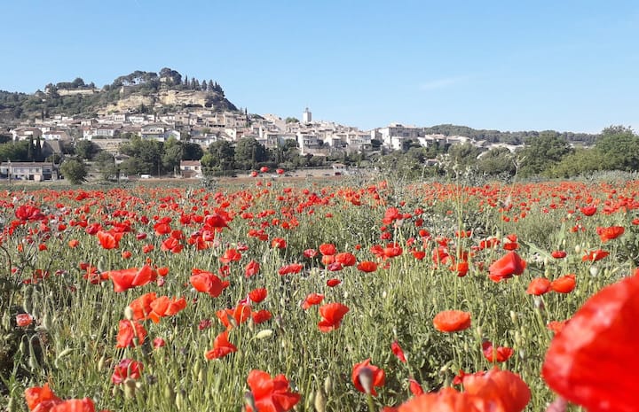 Maison Avec Jardin - Sud Luberon - Cadenet