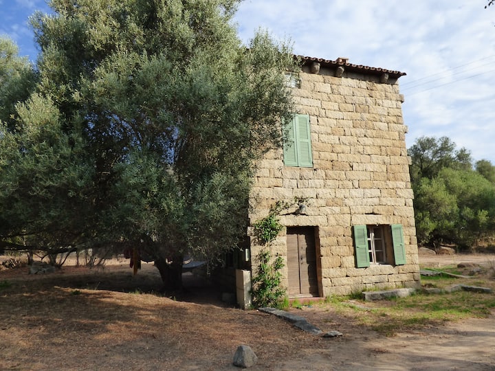 Maison De L'olivier - Santa Giulia