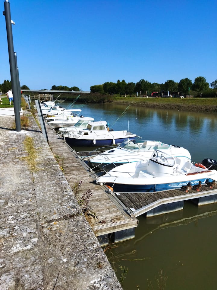 Saujon, Proche Royan, Vacances Et Thermalisme - Saujon