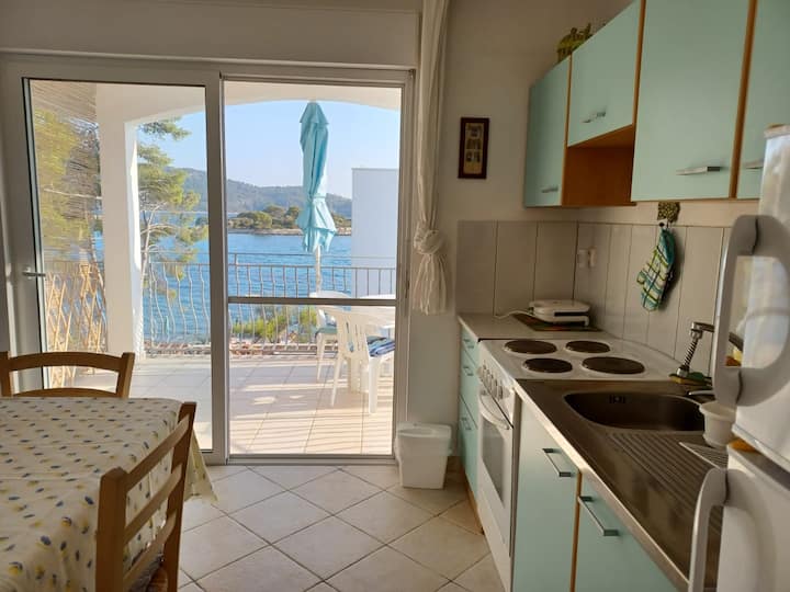 Seaside Apartment (O) - Vela Luka