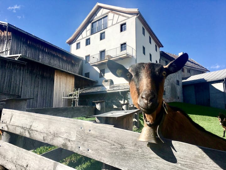 Panoramasicht Im Bergdorf - Savognin