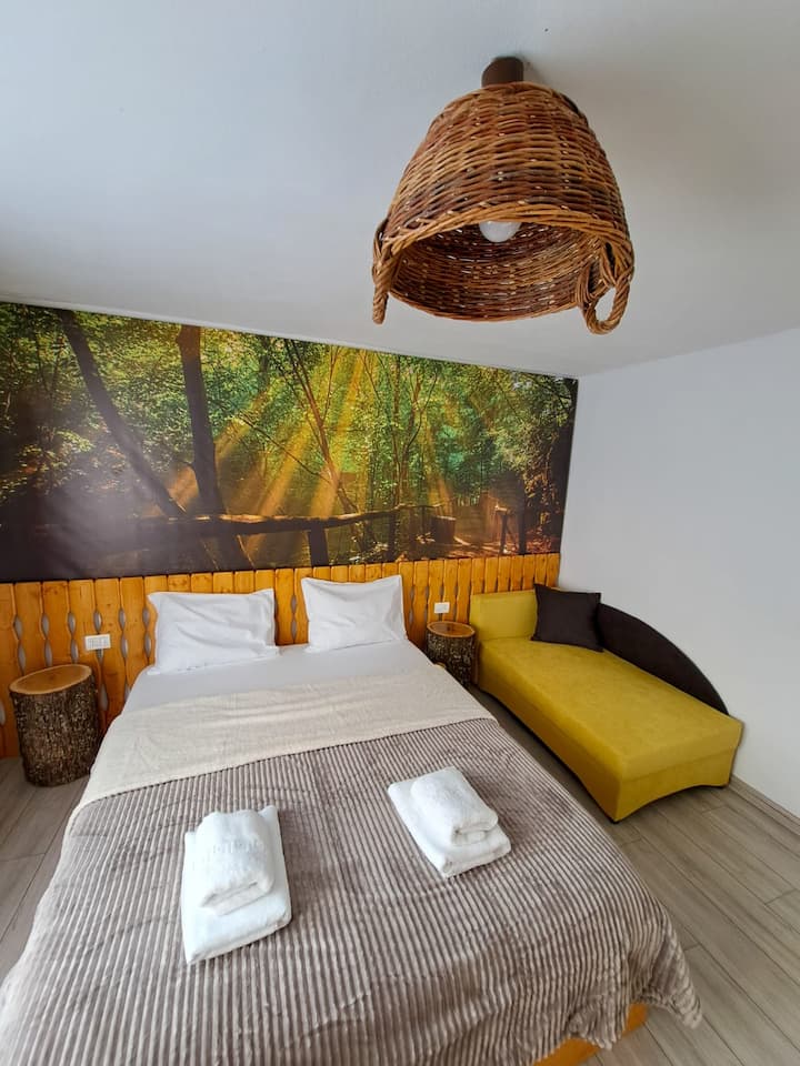 Casa Zina - Bozovici