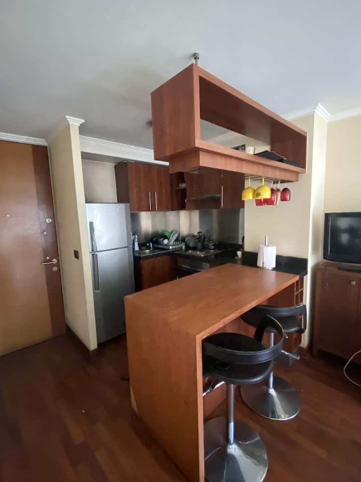Genial Apartamento Providencia - Providencia