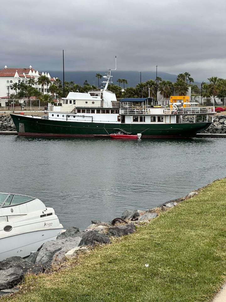 Harbor Boat Party! - Ensenada