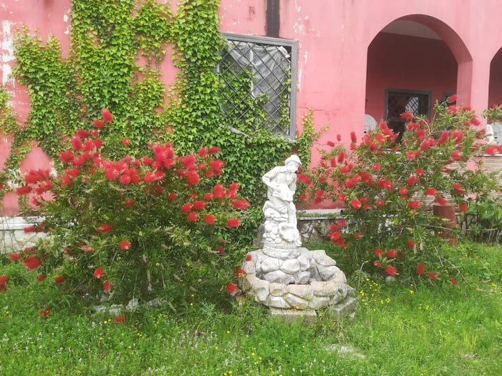 Casa Immersa Nel Bosco - Matrimoniale - Ardea