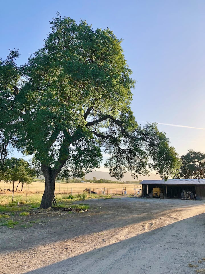 Rv Parking Site, N. Paso Off 101 - San Miguel, CA