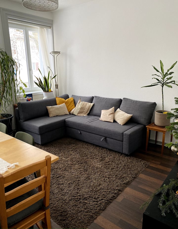 Double Room In Shared Flat In Central Zurich - Zürich