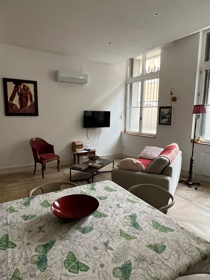Ravissant Appart Vieux Béziers - Béziers