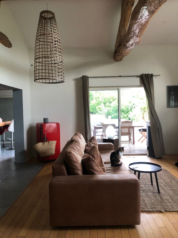 Maison Lumineuse,calme, Arborée - Agen