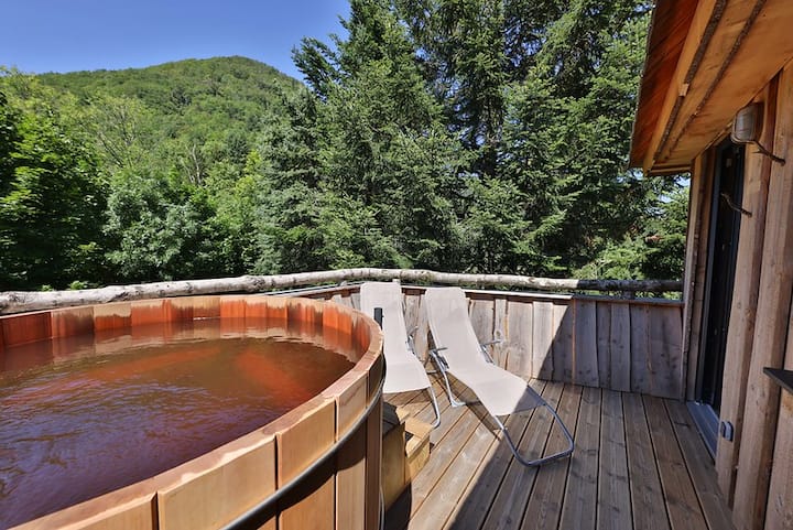 La Cabane Du Pêcheur & Spa - Black Forest