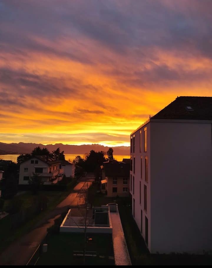 Family Flat With Lake Views - Crissier