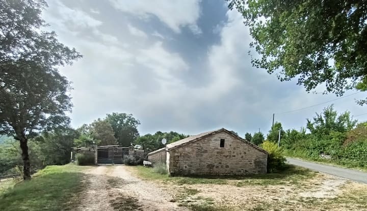 Location Vacances Serge Et Cathy Lot46 - Saint-Cirq-Lapopie