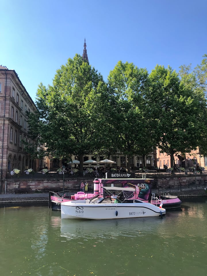 Appartement à Deux Pas De La Cathédrale - Strasbourg