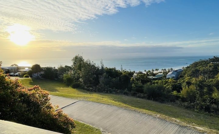Shore Bird On Moreton - Tangalooma