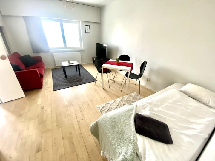 Super Cosy One Bedroom Apartment - Vaasa