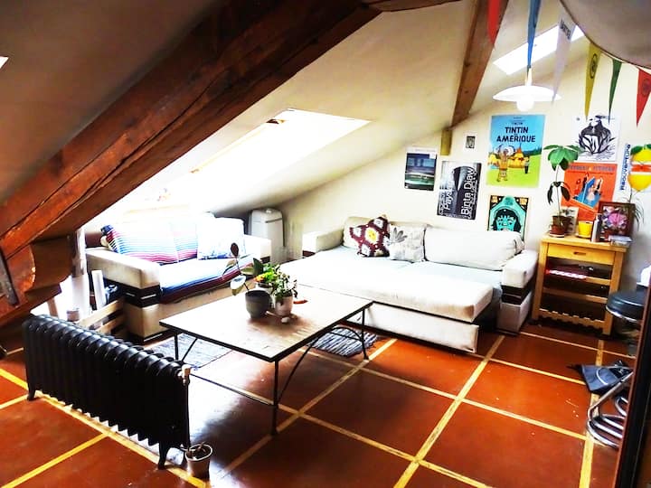 Appartement Cosy Et De Charme - Grenoble