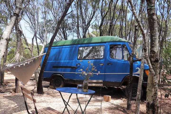 Magic Blue Van - Aljezur