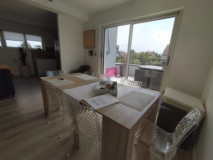 Gîte Duplex Tout Confort 3 Chambres, Proche Colmar - Colmar