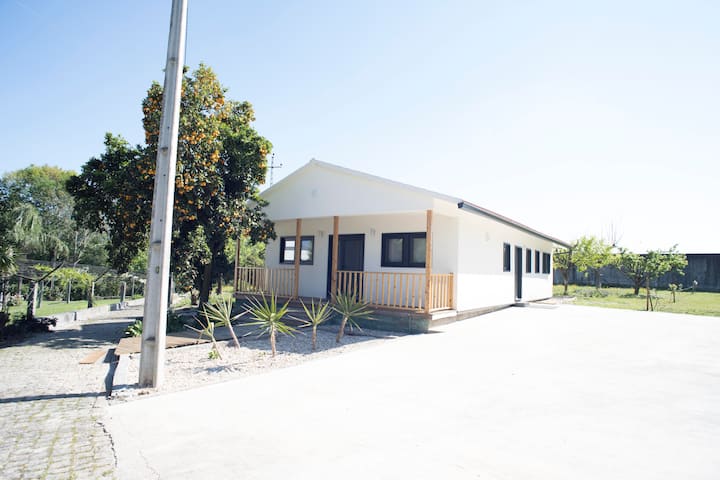 Casa Dos Medronheiros - Braga
