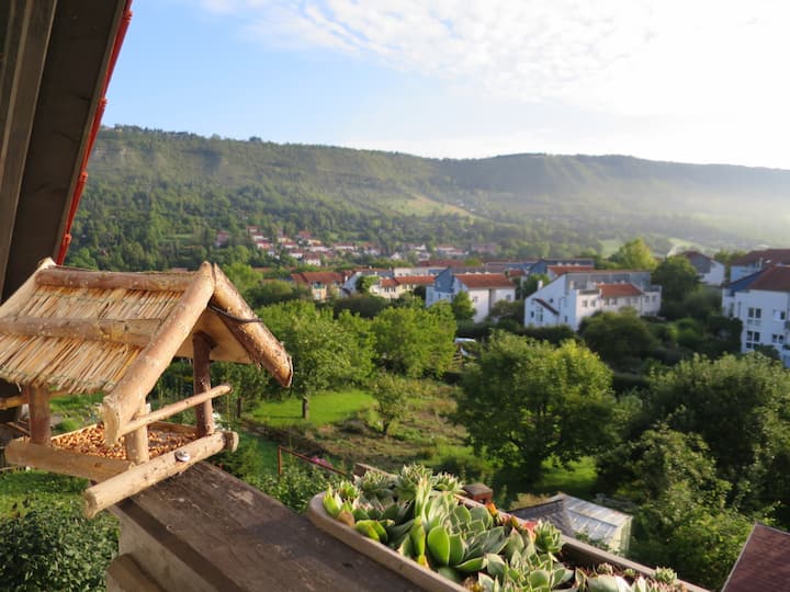 Spektakulärer Bergblick - Jena