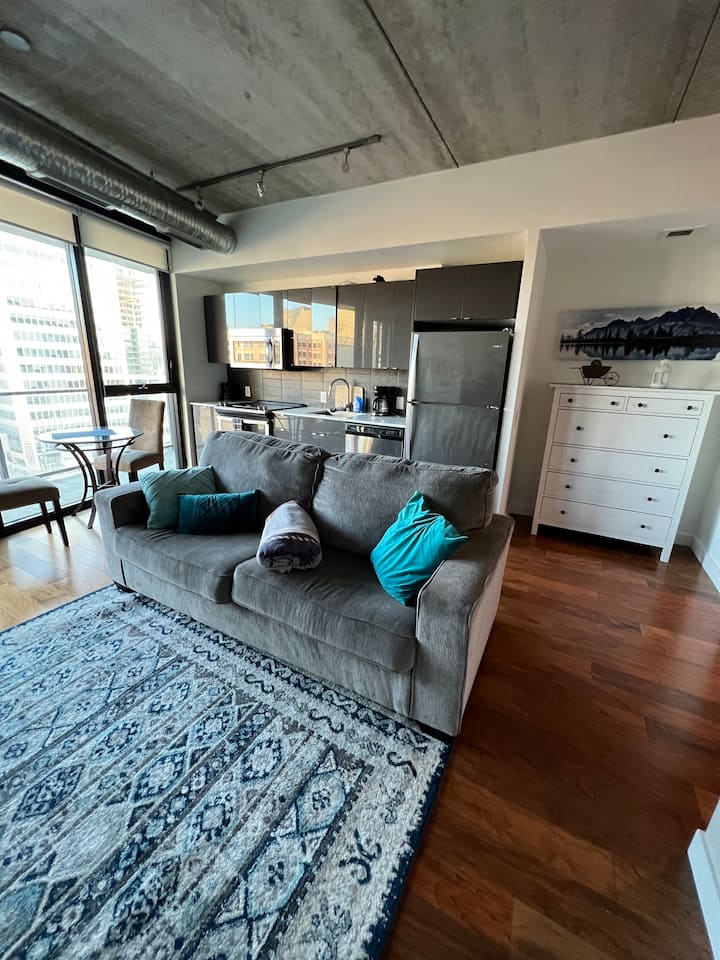 1 Bed Downtown Laundry, Wi-fi Walk To Arena - Winnipeg