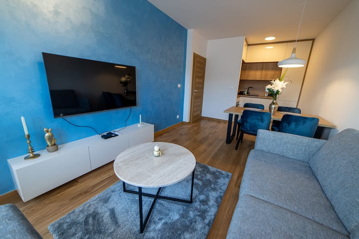 Fabulous 1br Apt In Best Part Of Podgorica - Podgorica