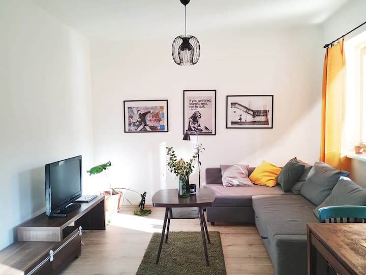 Lovely Renovated Flat In Centre - Brno