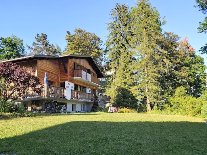 Grand Chalet Familial Et Nature - Morillon