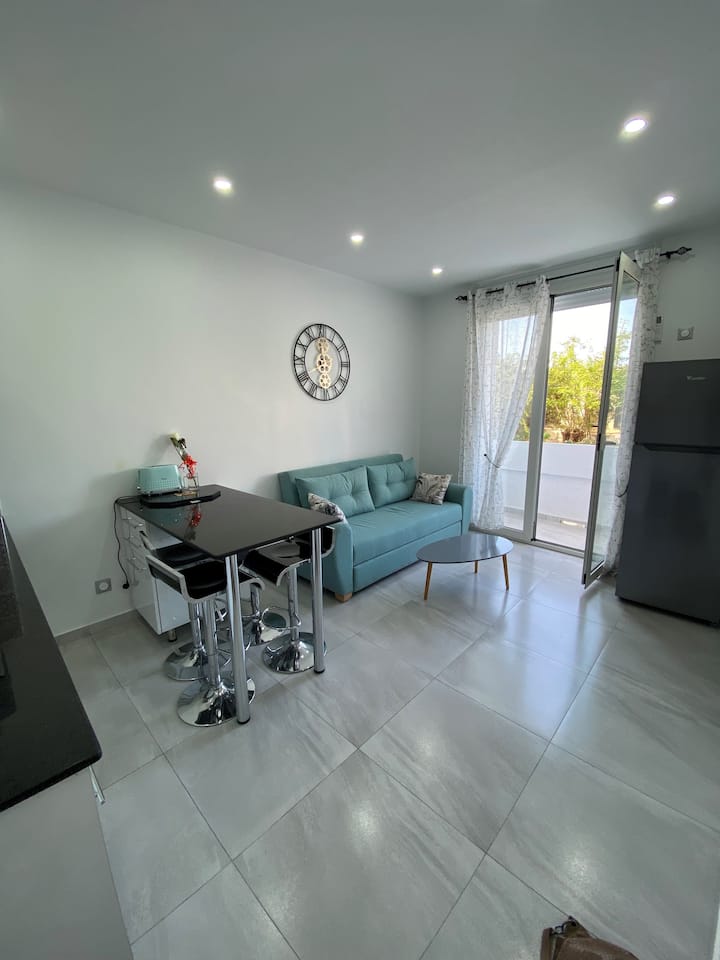 T2 Très Lumineux Balcon Cœur D'alger - Alger