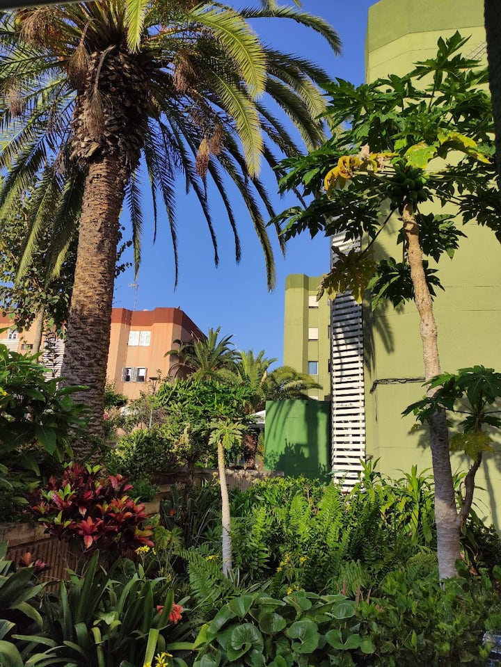 5 Min To Center, 7 Min To Beach Walk. Roomy & Set - Puerto de la Cruz