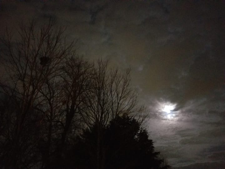 Owl House - Murfreesboro, TN
