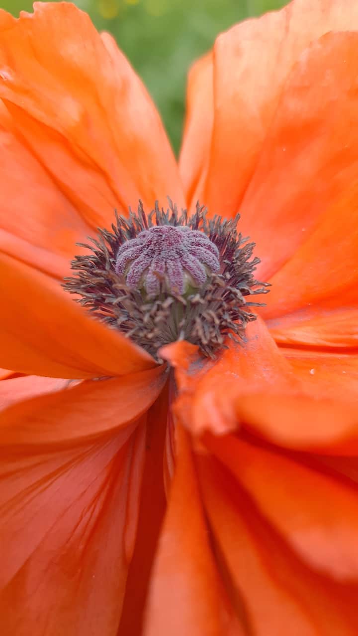 Hurmaava 50-luvun Kesäasunto 100 M2 - Pori