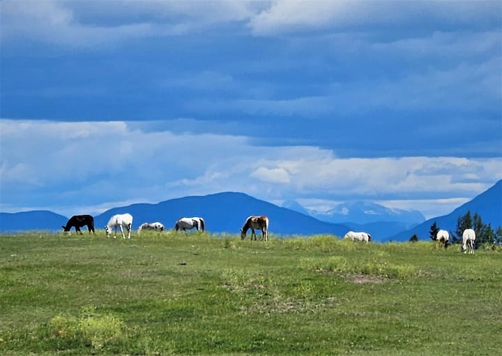 Beautiful Mountain Views. Centrally Located. - Kalispell, MT