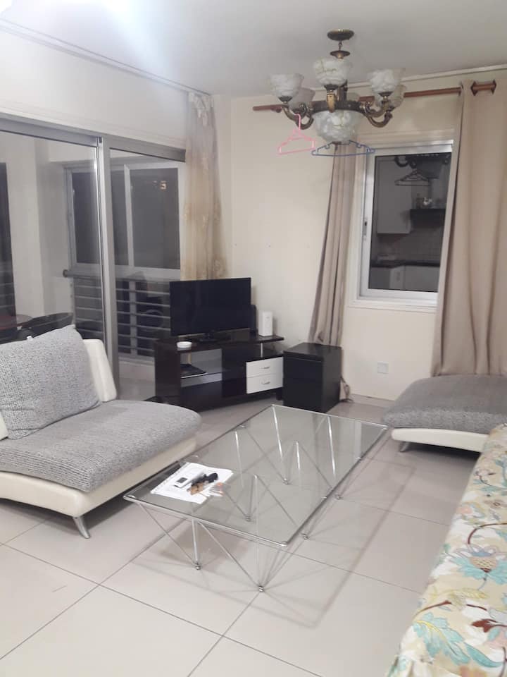 Nicosia City Centre Apartment - Nicosia