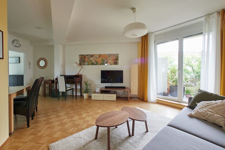 Geräumige Wohnung Für Berufliche Zwecke/studenten - Graz