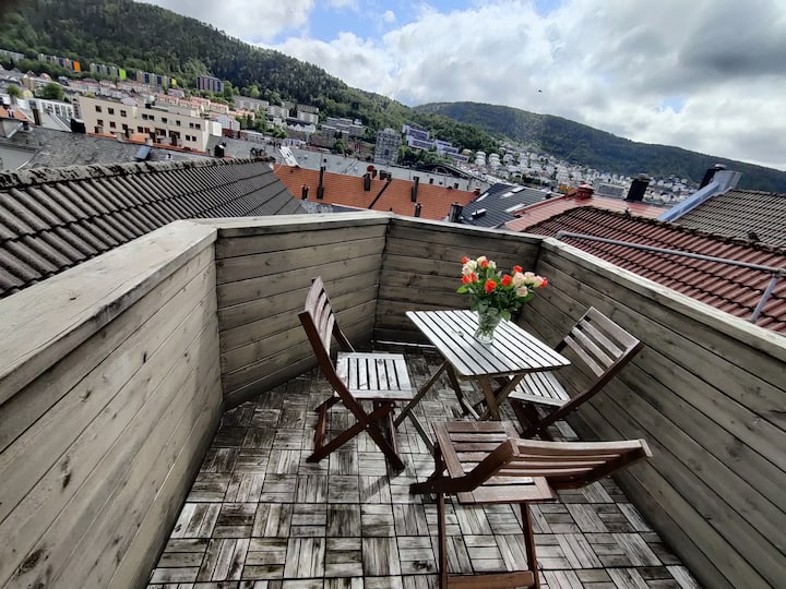 Koseleg Toppleilegheit - Bergen